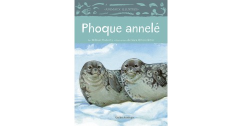 Phoque annelé - William Flaherty - Québec Amérique
